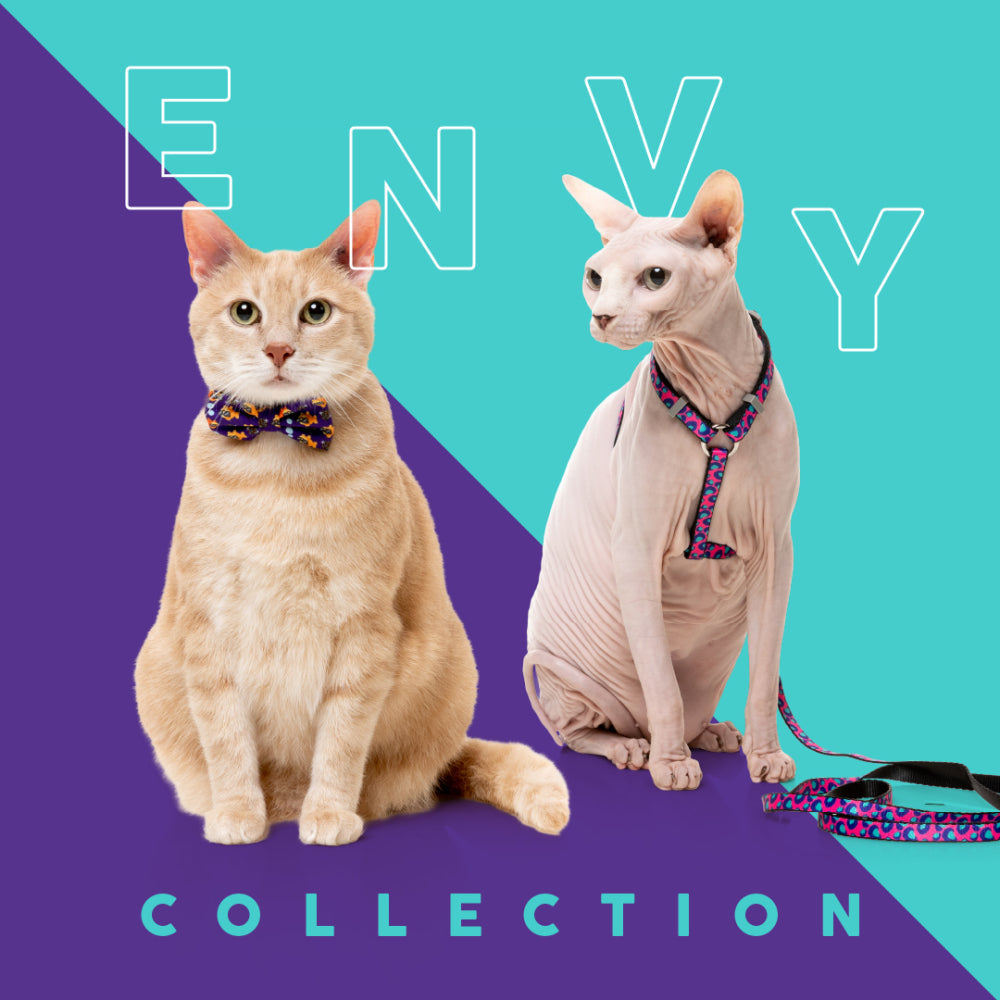 Introducing FuzzYard Envy! | FuzzYard Australia